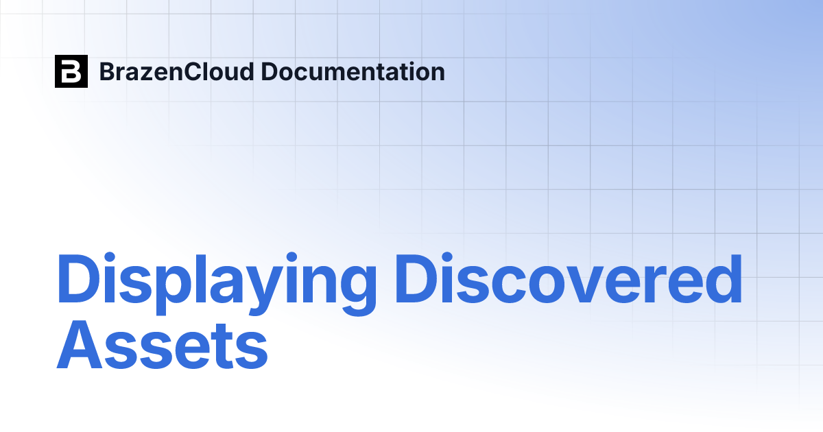 Displaying Discovered Assets | BrazenCloud Documentation